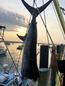 Seaport Fish – Traditionally Local Guaranteed Fresh